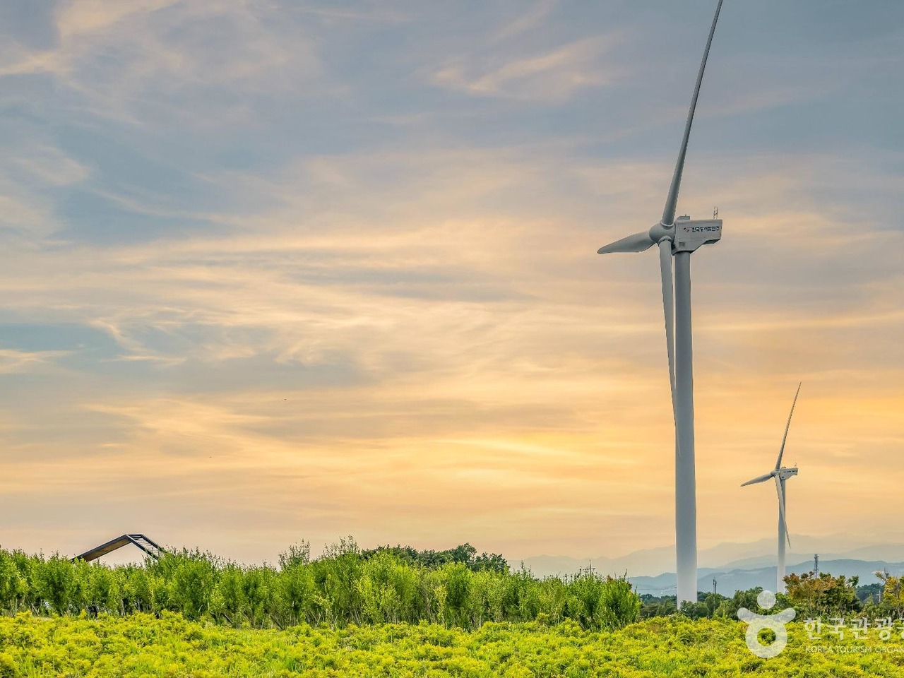 [대한민국구석구석 x TMAP] APEC 개최지 경주로 떠나는 청량한 여름 여행, 티맵 추천 경로로 안내합니다!